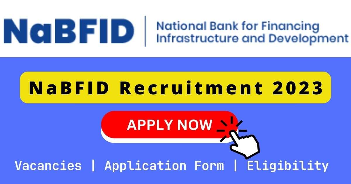 NaBFID Recruitment 2023
